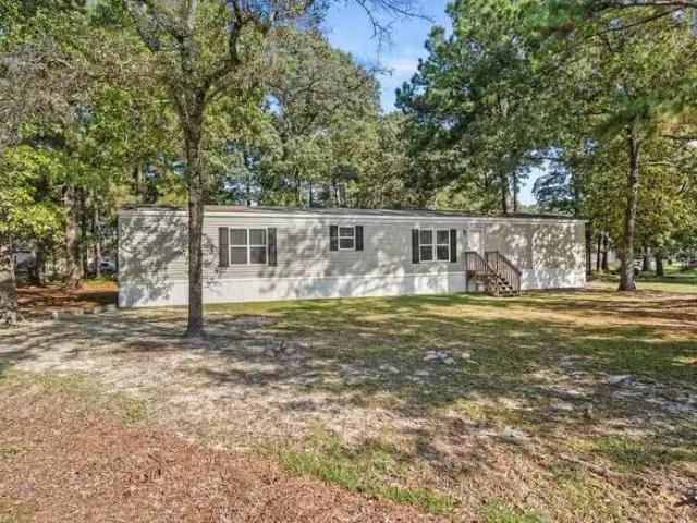 222 Belfast Ln, Cottageville, SC 29435 MLS 24024980