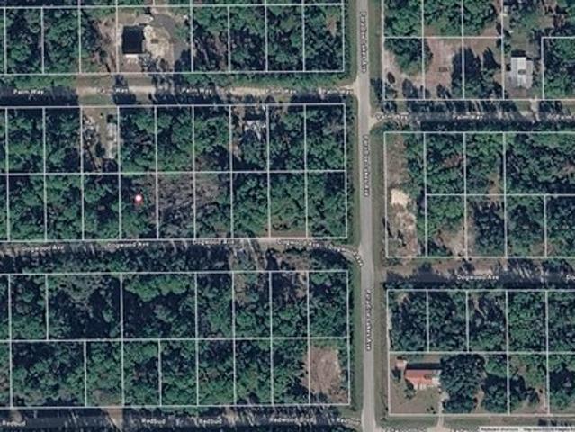 222 Dogwood Ave, Georgetown, FL 32139