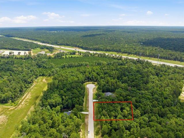 222 Hollow Hill Dr, New Waverly, TX 77358