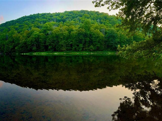 222 Stockport Rd, Hancock, NY 13783 | MLS #980904