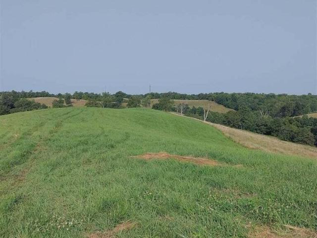 222 Stone Lane
