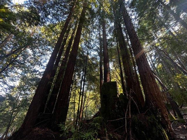 2234 Otter Pl, Willits, CA 95490
