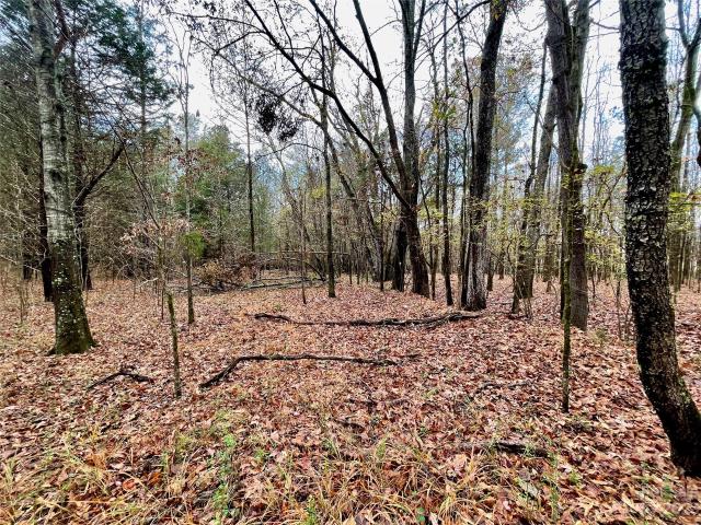 2234 Corinth Road