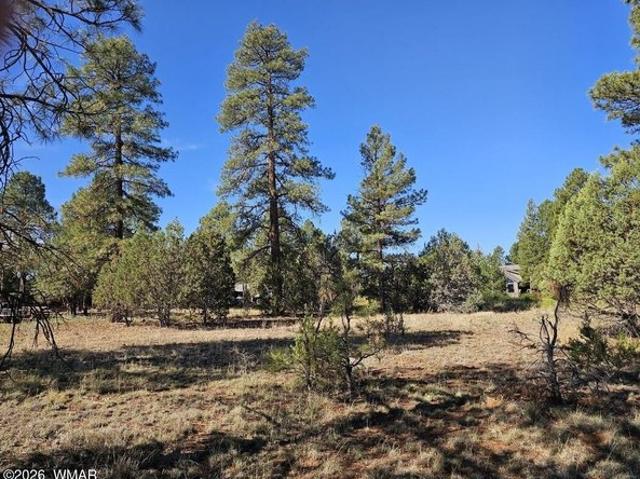 2236 Moccasin Dr, Overgaard, AZ 85933