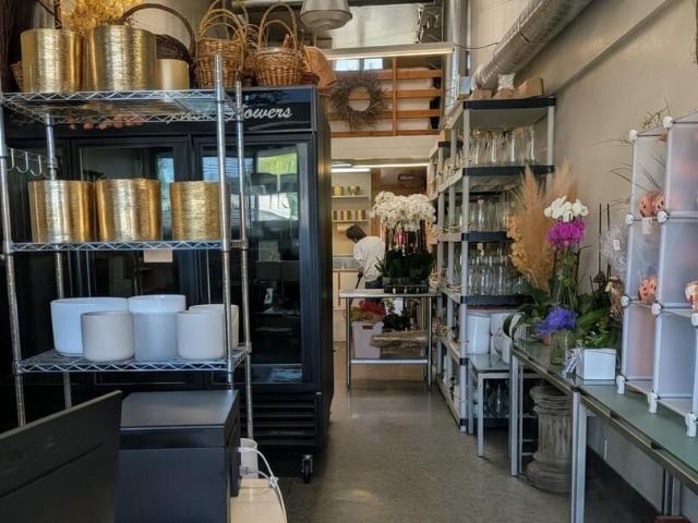 2237 El Camino Real