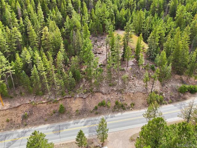 2238 Stanley Rd, Dumont, CO 80436 | MLS #4956 | Compass