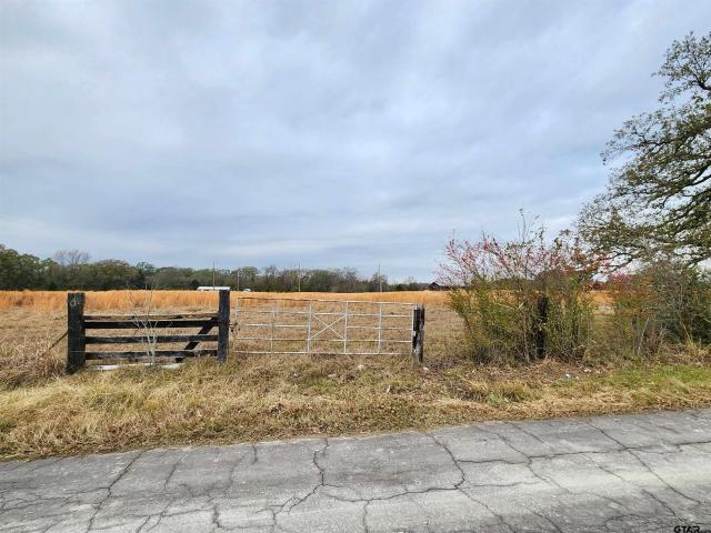 2230 Mineola, TX 75773 | MLS #21124
