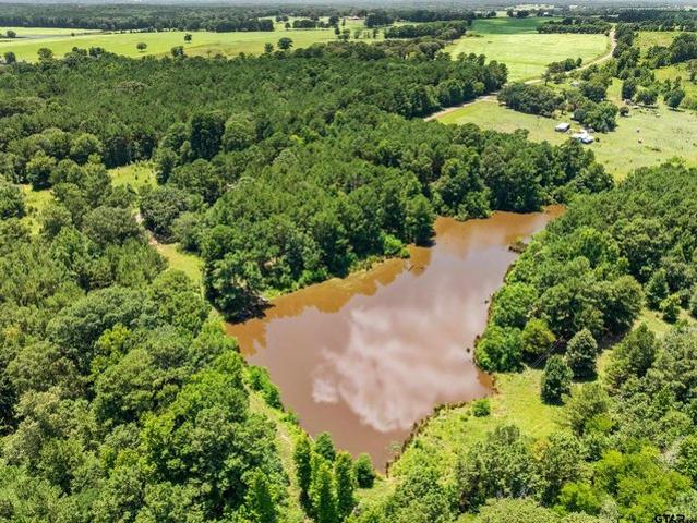 22315 County Road 2110, Troup, TX 75789