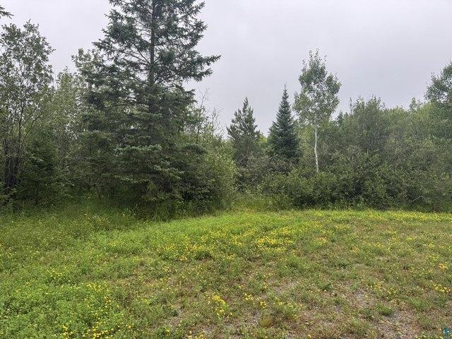 2231 Fors Rd, Two Harbors, MN 55616