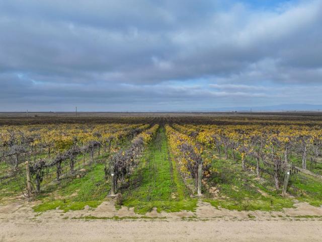 22322 Road 28 1/2, Madera, CA 93638 | MLS #641206 | Compass