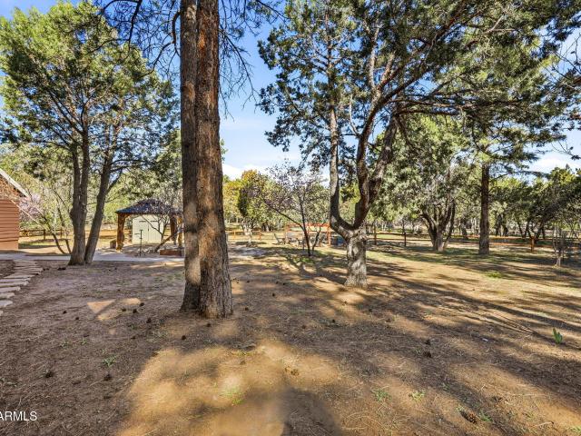 2232 Forest Park Dr, Overgaard, AZ 85933 | MLS #7002