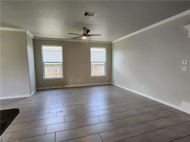 2233 Ibis Street