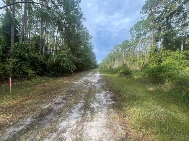 223 2nd St, Georgetown, FL 32139 | MLS #OK225494
