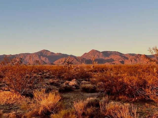 223 30 S Sundance Kid Rd, Yucca, AZ 86438