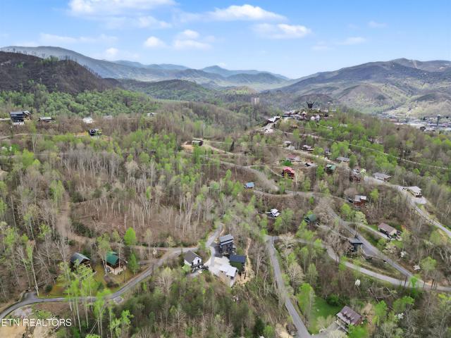 223 Chimney Tops Way
