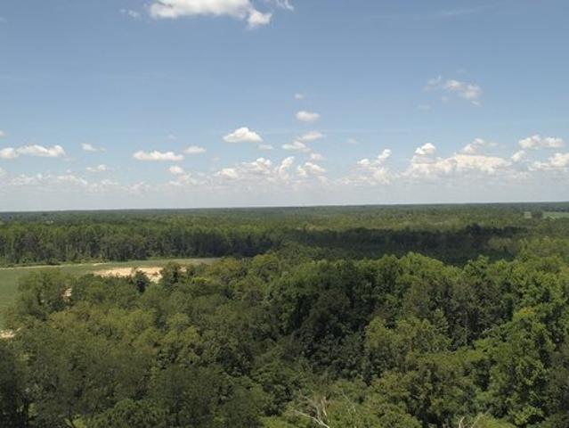 223 Cllyde Williams Rd, Reidsville, GA 30453