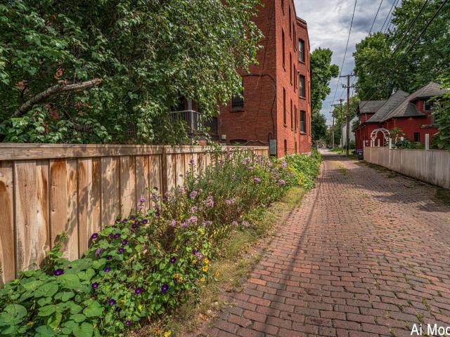 223 Arundel Street # 1