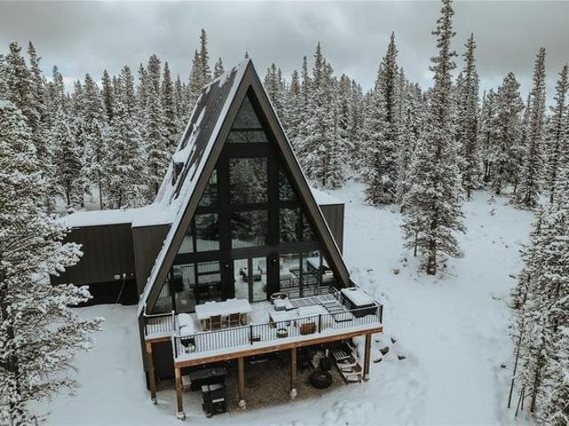 223 Guymard Rd, Fairplay, CO 80440