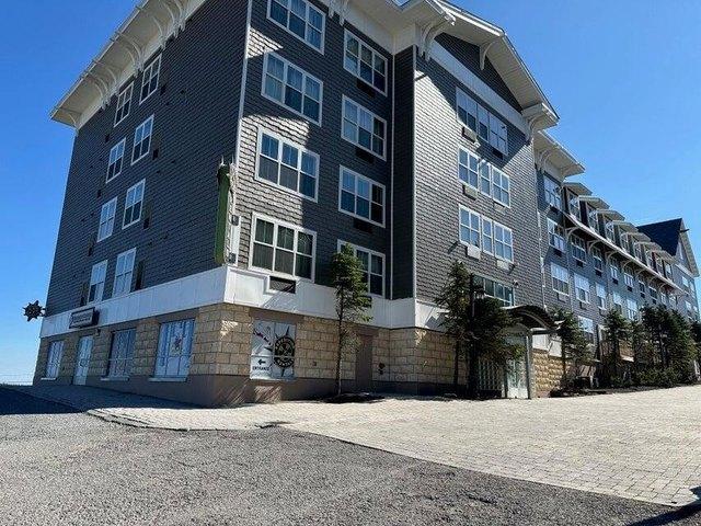 223 Expedition Sta, Snowshoe, WV 26209