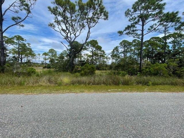 223 Hidden Harbor Dr, Alligator Point, FL 32346