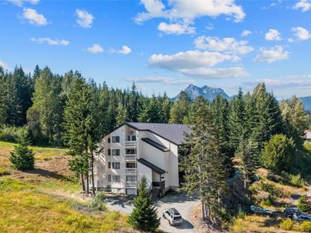 223 Hyak Dr E Unit 617, Snoqualmie Pass, WA 98068