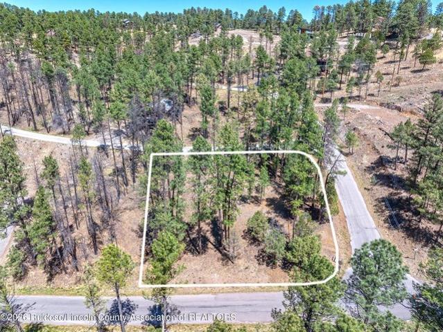 223 Lake Shore Dr Lot 1, Alto, NM 88312