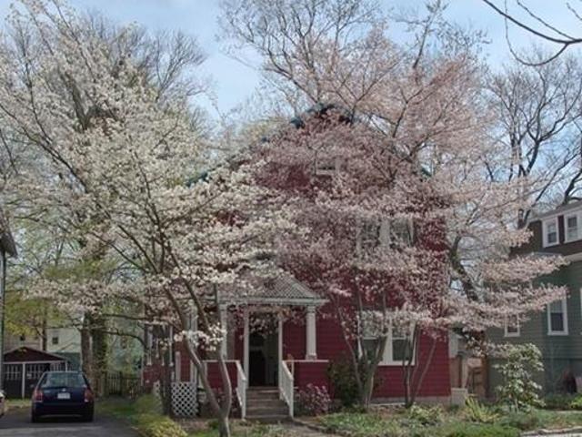 223 Lakeview Ave Unit 223, Cambridge, MA 02138