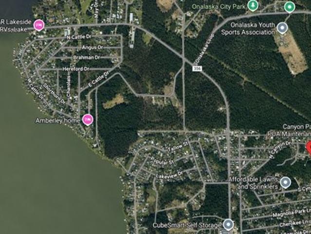 223 Live Oak Ln, Onalaska, TX 77360