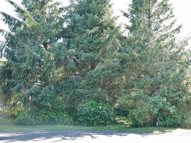 223 Muskrat Ct SW Lot 16 11, Ocean Shores, WA 98569