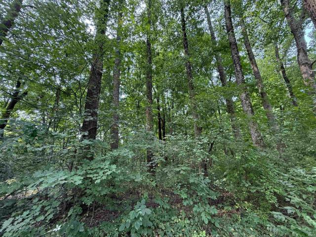 223 N St Rd 61 Alley