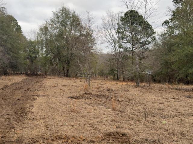 223 Ridge Road