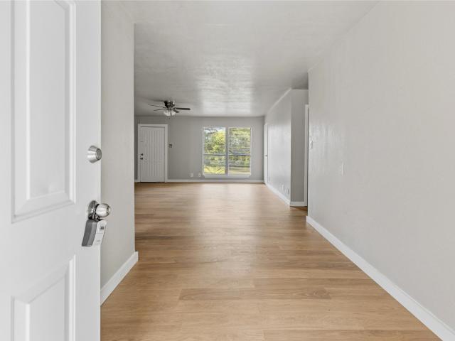 223 Rush Creek Lane