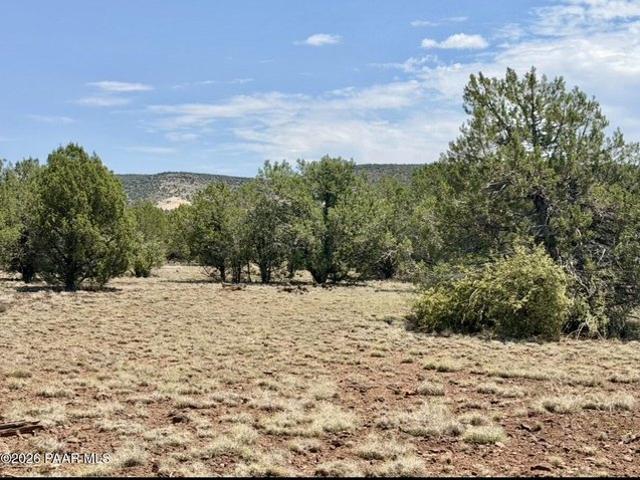 223 W Pat Dr, Williams, AZ 86046