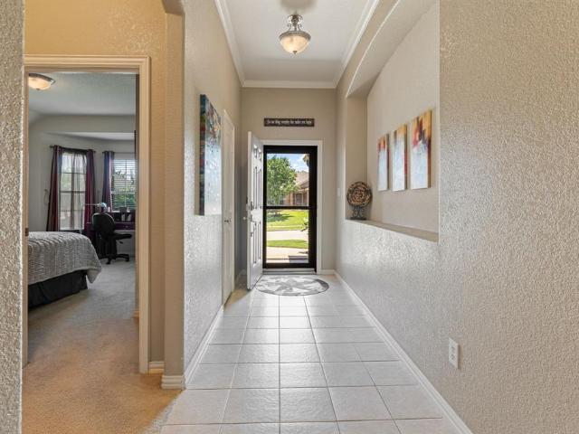 223 Timber Drive