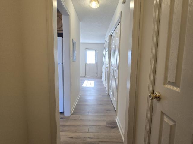 223 Tree Line Dr