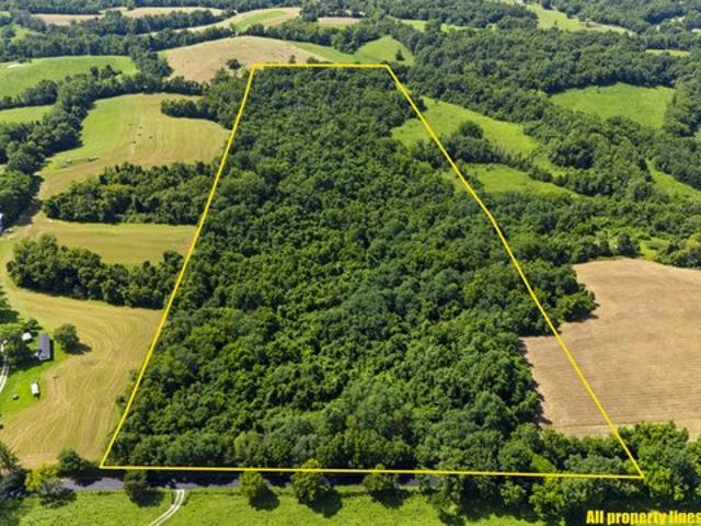 223B Plum Lick Rd, Paris, KY 40361