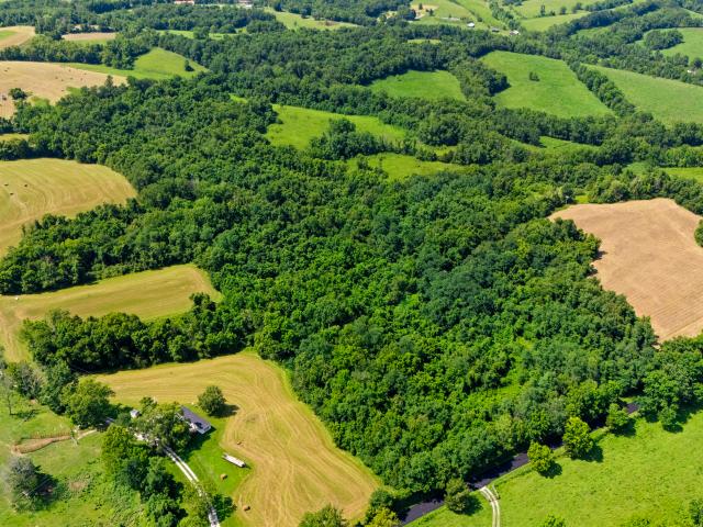 223B Plum Lick Road
