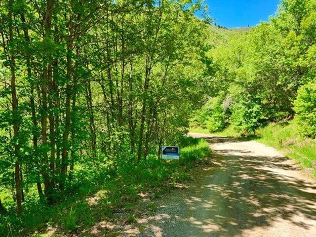 22440 N Elk Meadows Dr Unit O45, Fairview, UT 84629