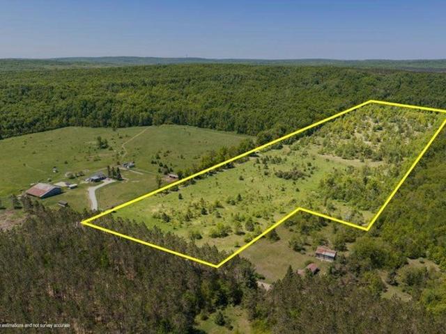 2244 Palmer Rd, Pellston, MI 49769