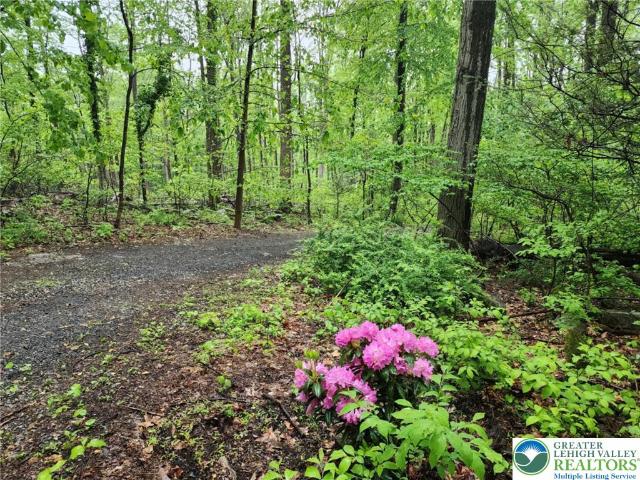 2244 Williams Church Road