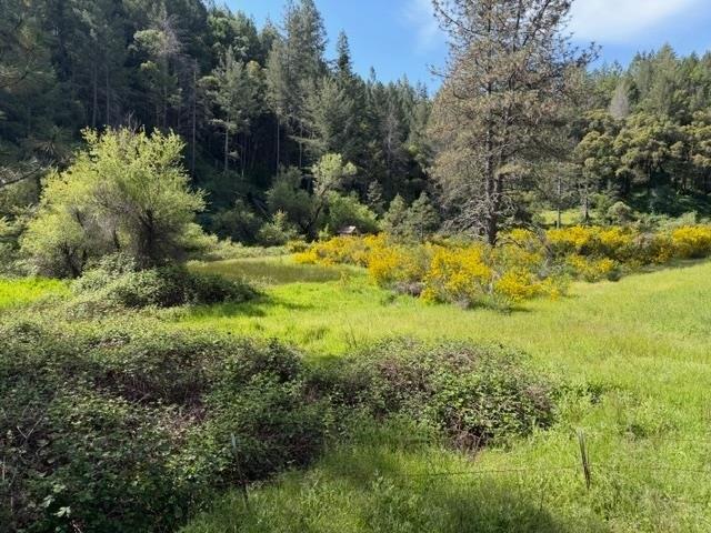 22460 Canyon Way, Colfax, CA 95713