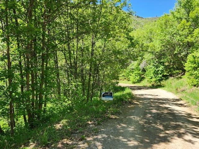 22465 N Elk Meadow Dr Unit O44, Fairview, UT 84629