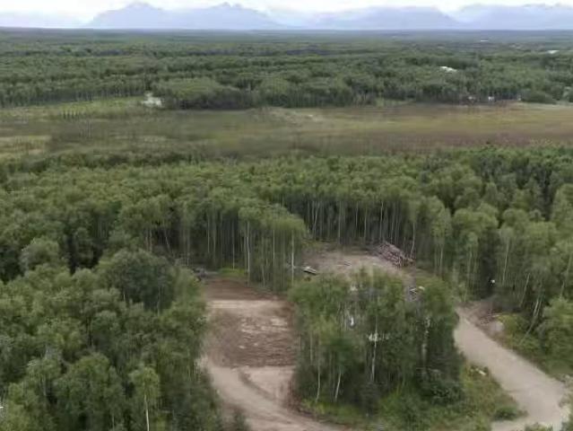2249 N SKYE CIR, HOUSTON, AK 99623 Vacant Land For Sale MLS#.