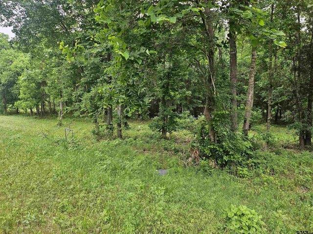 22409 FM 838, Overton, TX 75684