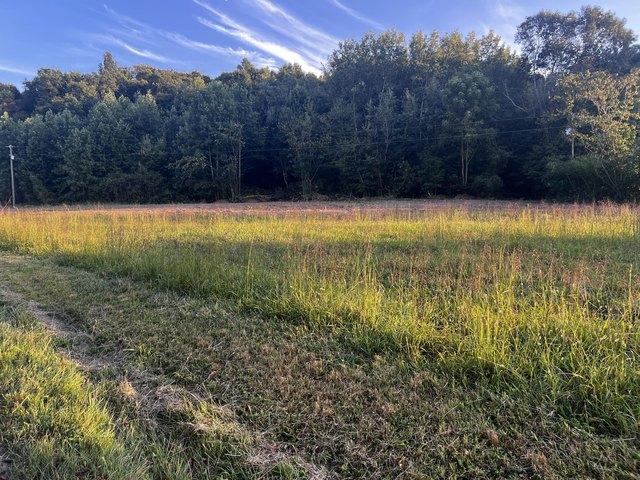 2240 Patty Ridge Rd, Russell Springs, KY 42642
