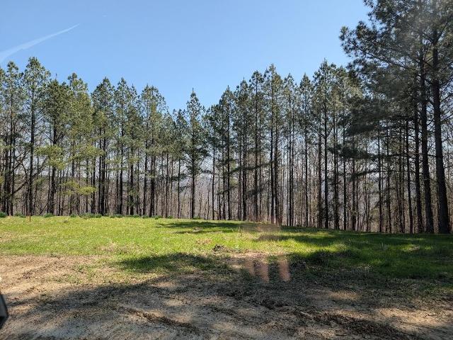 2241 Riverbend Rd Road