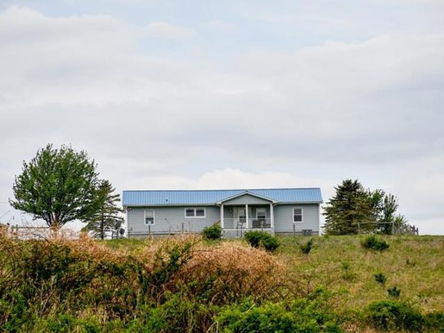 2241 Skydusky Rd, Bland, VA 24315