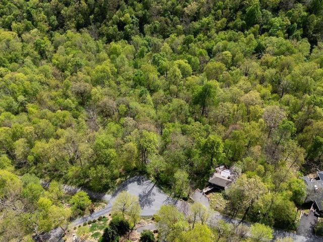 2242 laurel springs dr