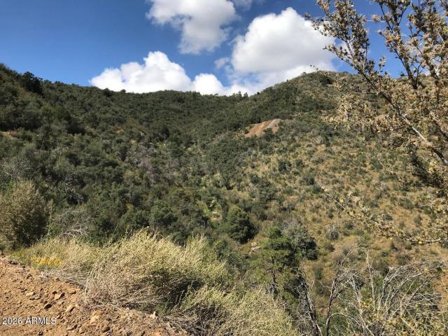 22431 s gladiator mine road #