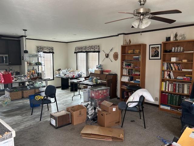 22439 S Remington Drive